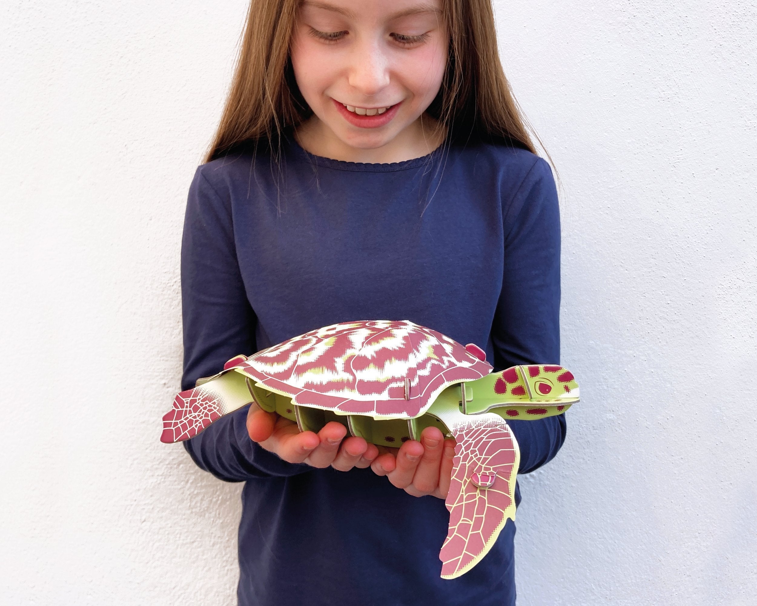 Hawksbill Turtle - Build Your Own – The Imagination Shop